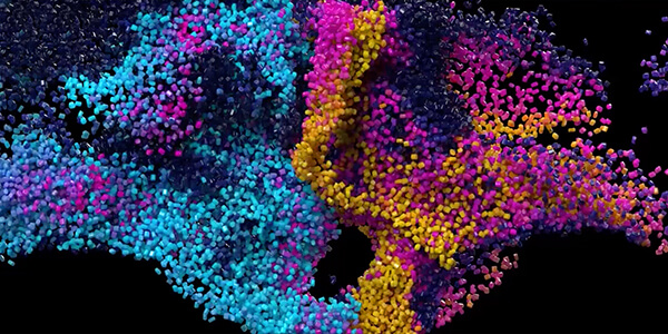 Desmopan® | Thermoplastic polyurethane | Covestro