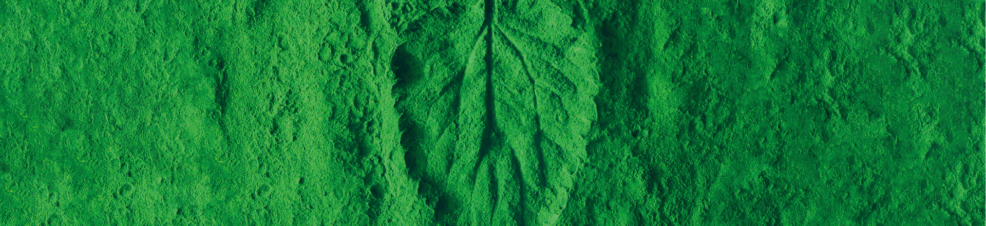 LCA & innovation | Covestro AG